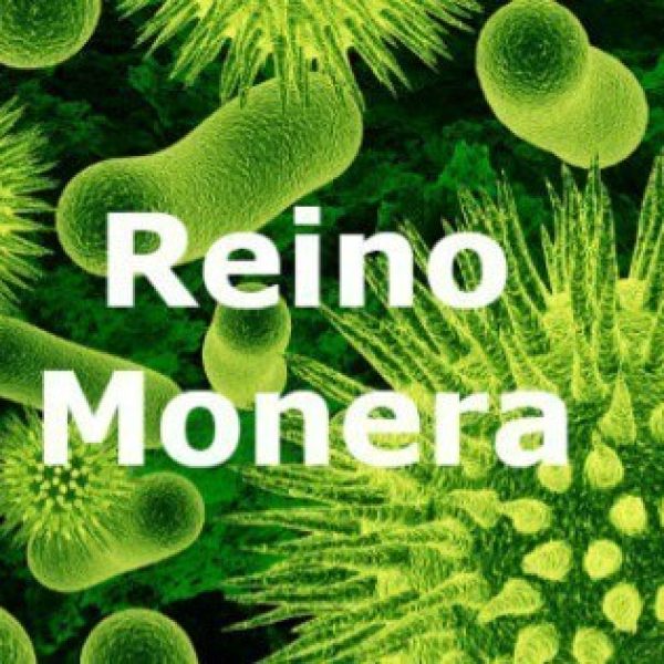 Arqueobacterias Do Reino Monera O TERCEIRO DOMÍNIO DA VIDA: ANÁLISE