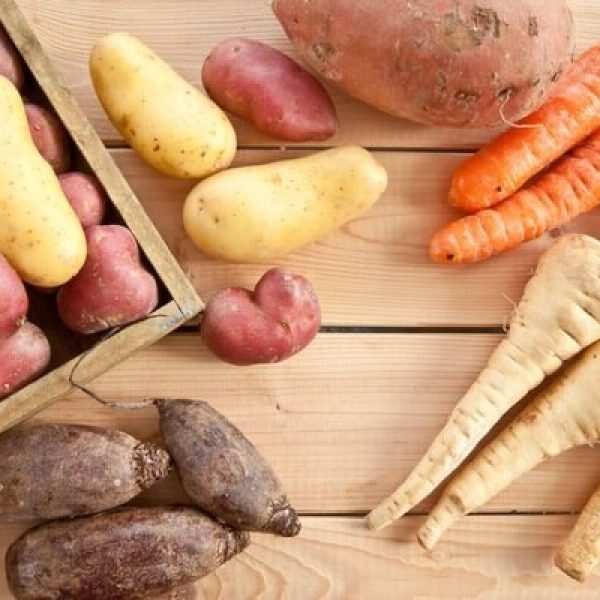 Exemplos De Plantas De Tuberculos